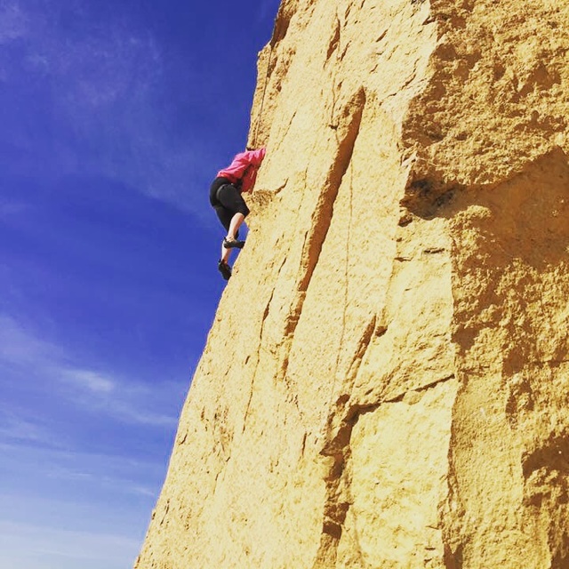 Why Dedicate Ourselves to Enlightenment? - The Seer Almine